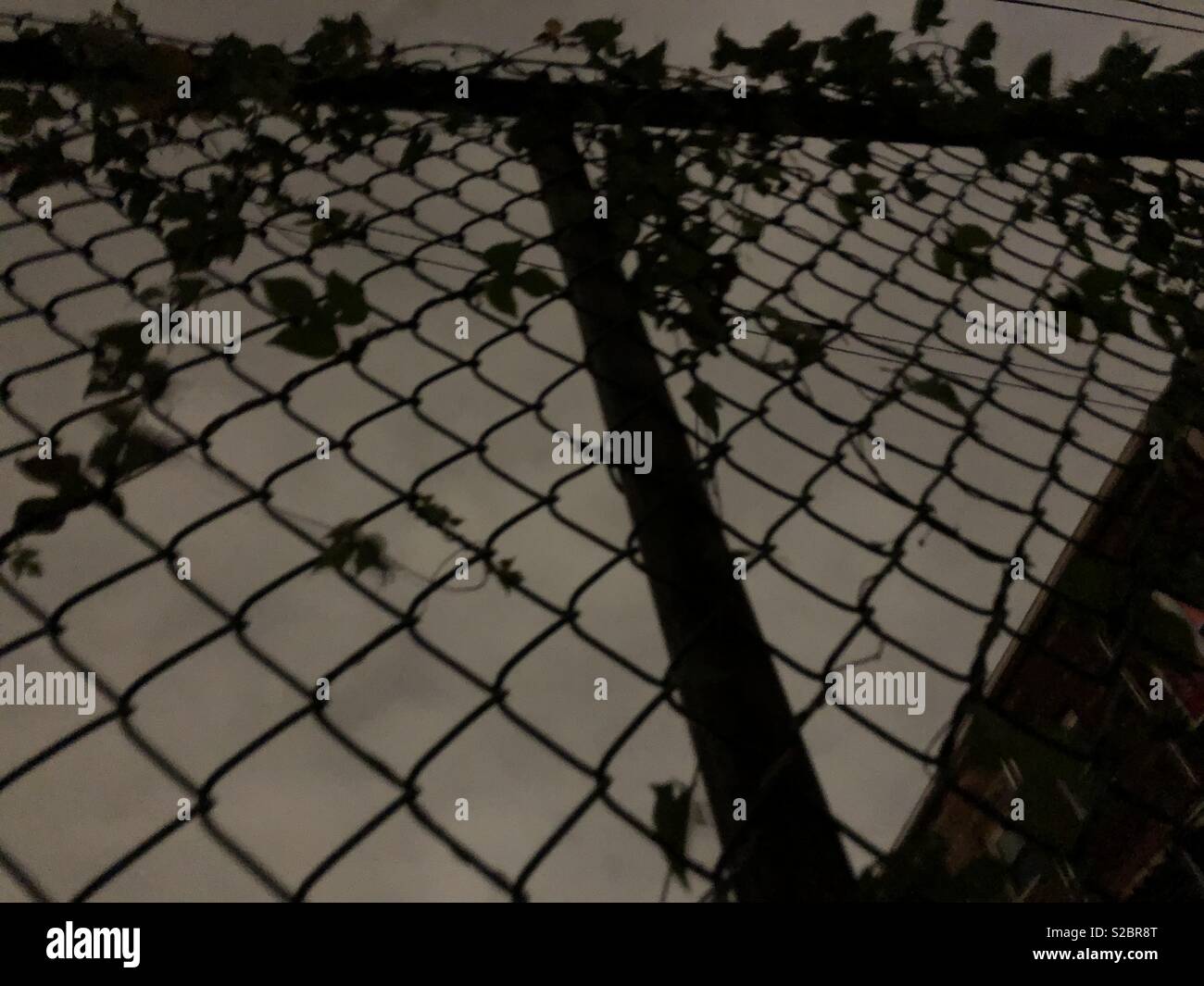 Nature vs city life Stock Photo - Alamy