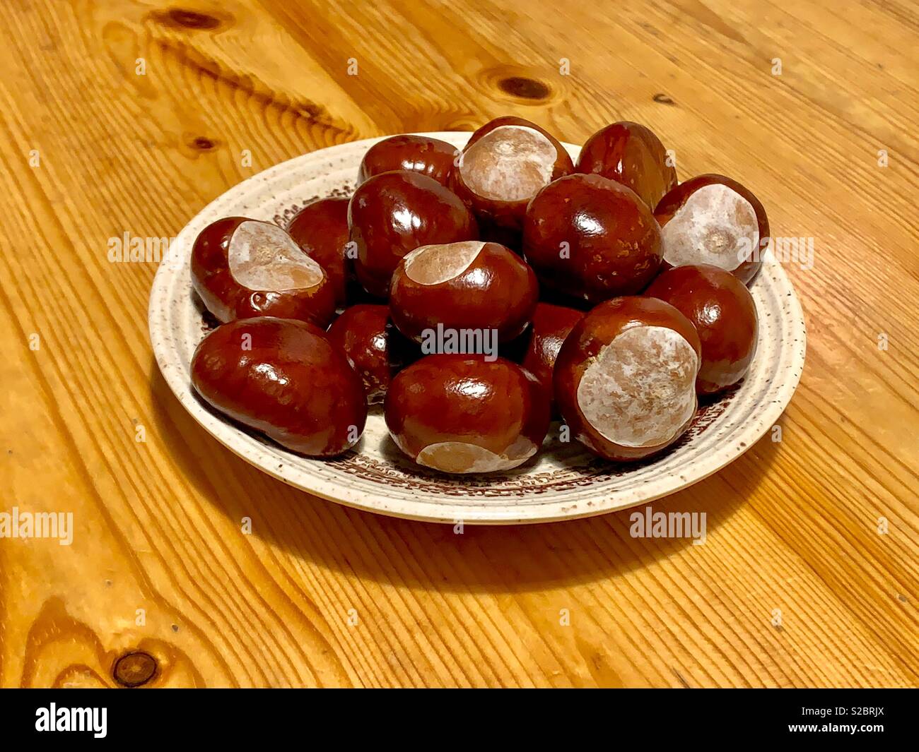 Conkers game hi-res stock photography and images - Alamy