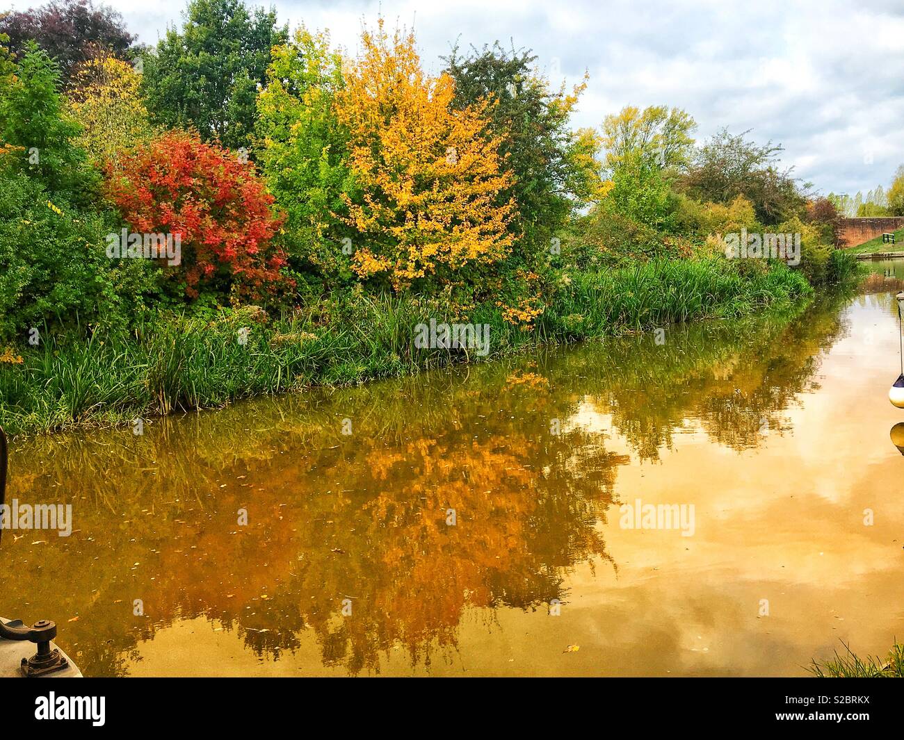 England trees hi-res stock photography and images - Alamy