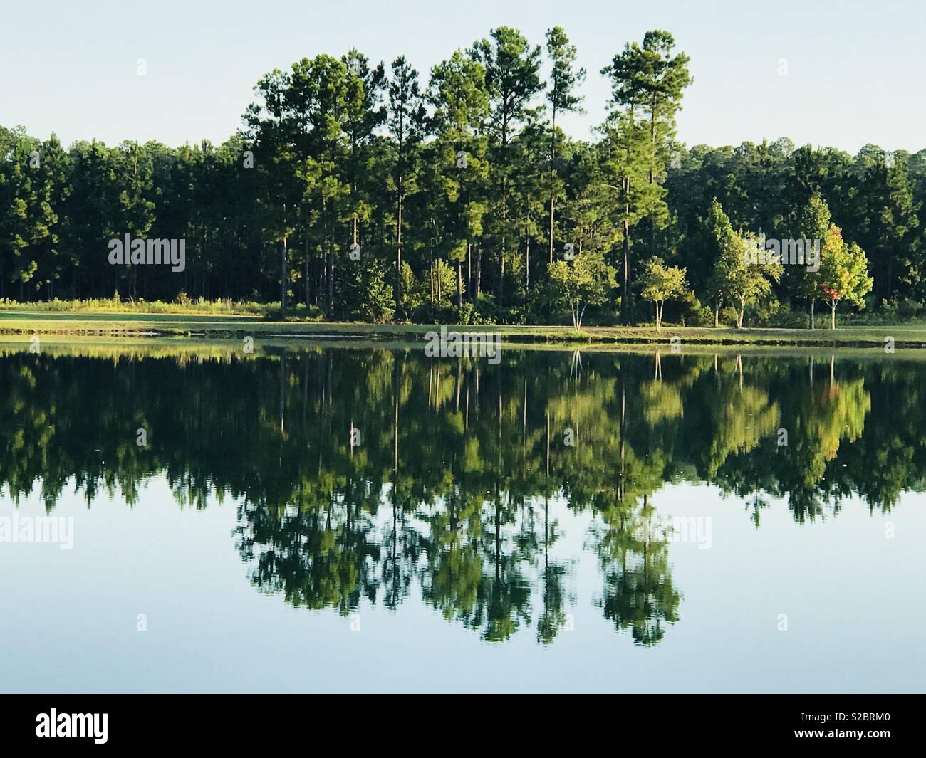 Mirrored image hi-res stock photography and images - Alamy