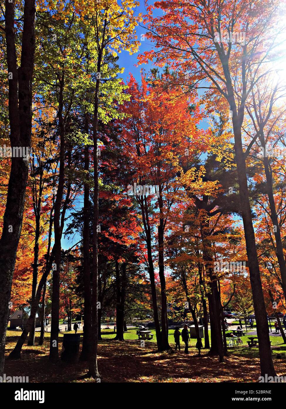 Most beautiful season Stock Photo - Alamy