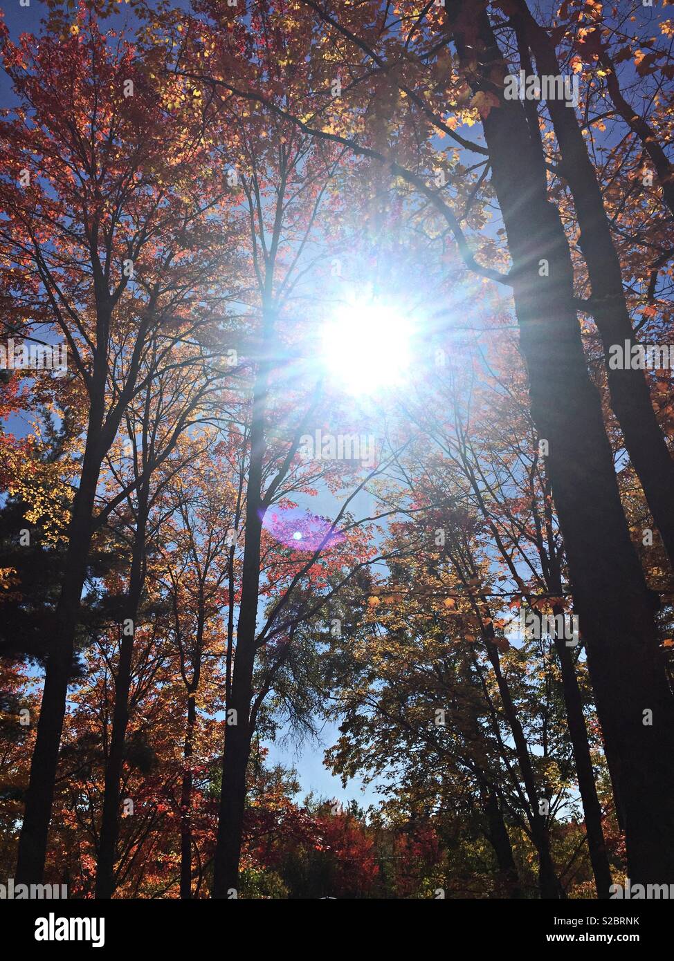 Hello Mr. Sun! Stock Photo - Alamy