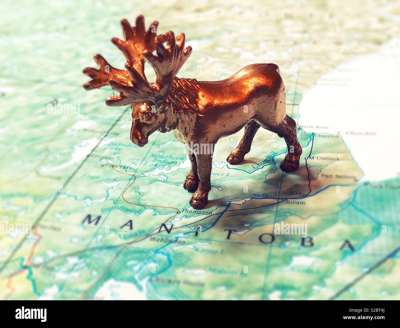 Map of moose hi-res stock photography and images - Alamy