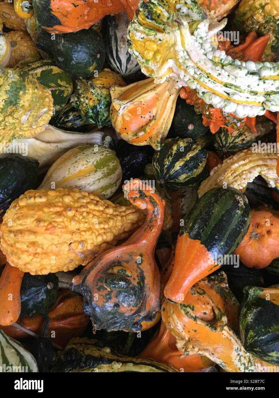 Fall gourds hi-res stock photography and images - Alamy