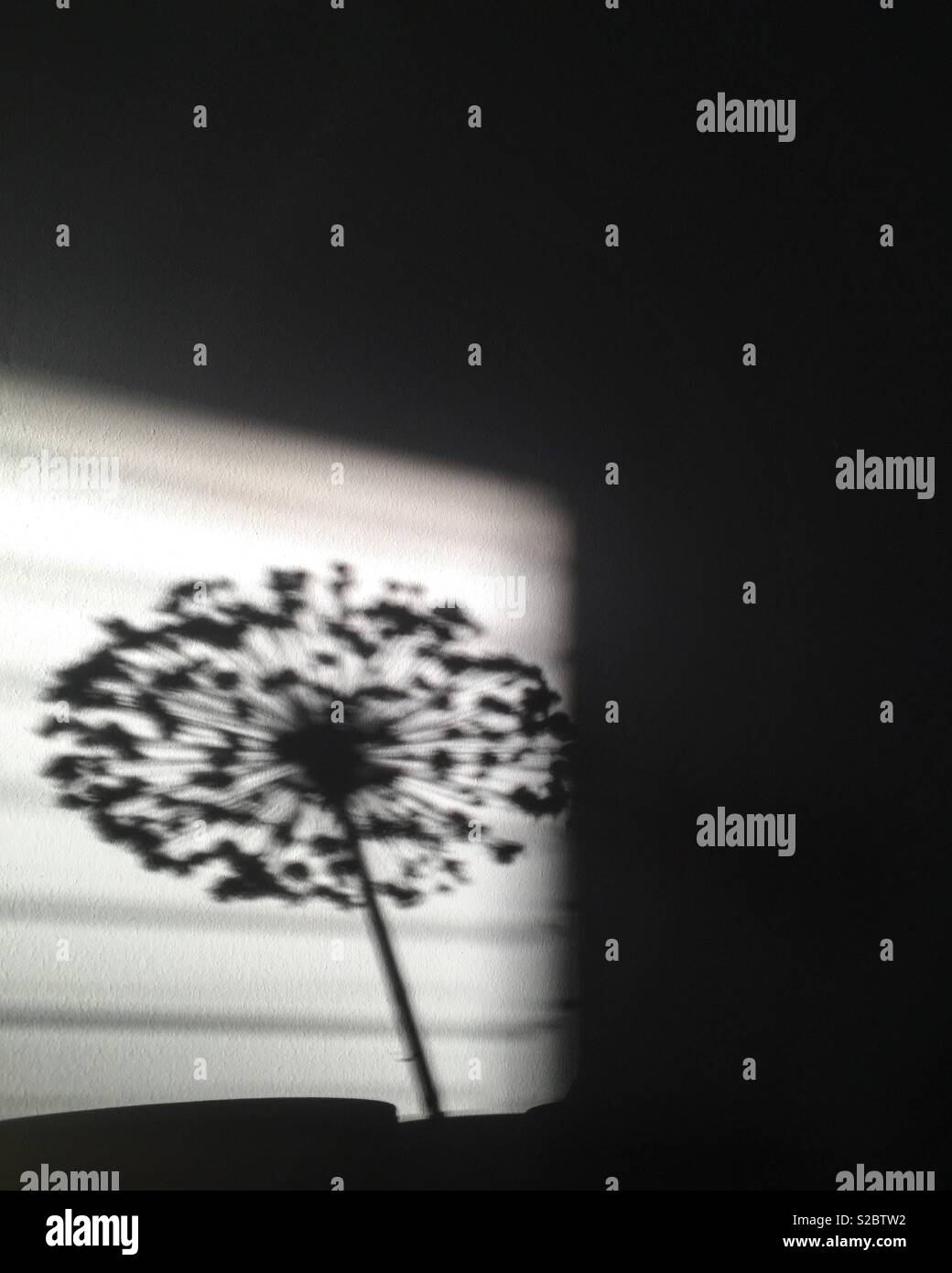 Shadowplay hi-res stock photography and images - Alamy