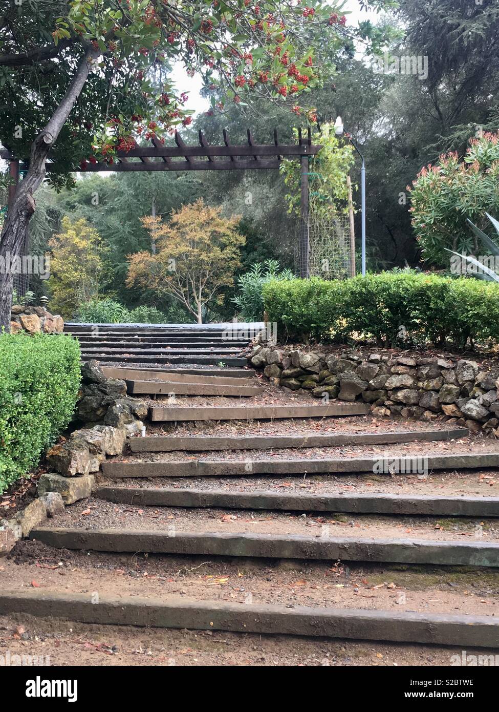 Curved Stone Steps at Novitiate, Los Gatos, CA Stock Photo - Alamy