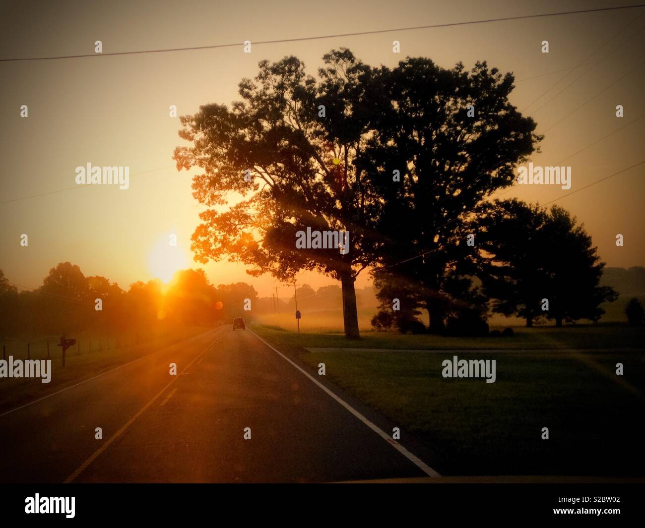 Rosy sunset glow over treeline beyond highway, with tree silhouette ...