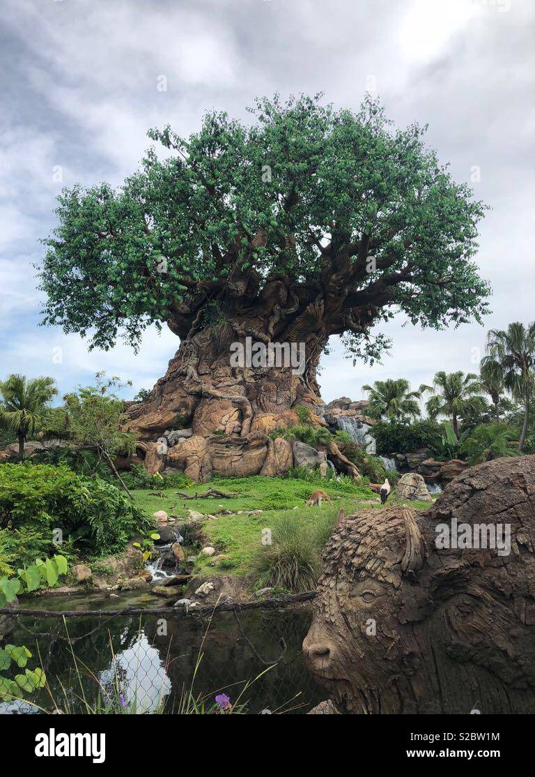 The Tree Of Life Stock Photo - Alamy