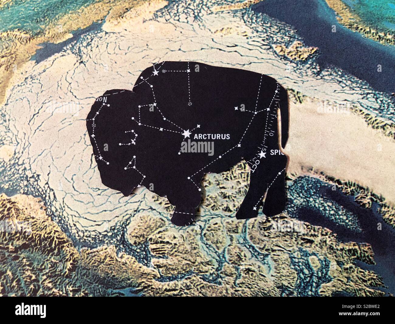 Cut paper buffalo and map Stock Photo - Alamy
