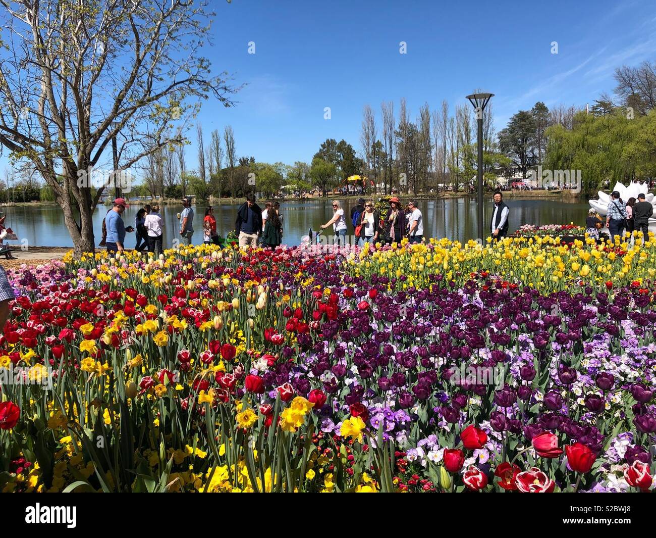 Floriade Australia Canberra Stock Photo - Alamy