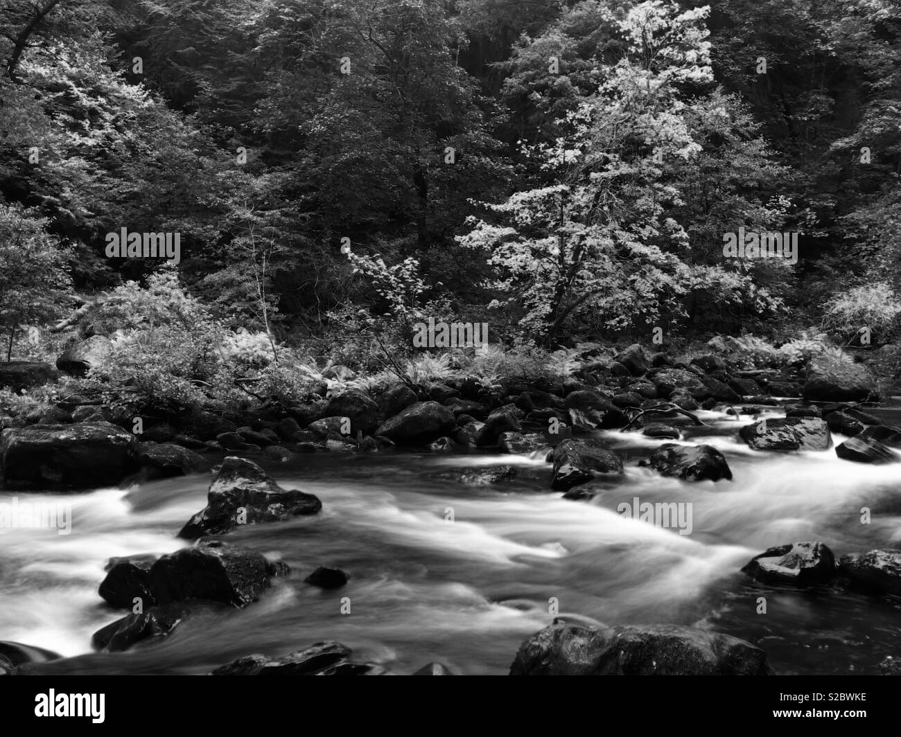 Black and white rapids Stock Photo - Alamy