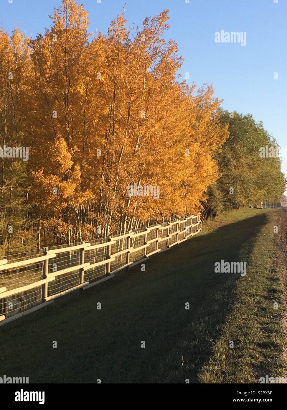 Fall and fence Stock Photo - Alamy