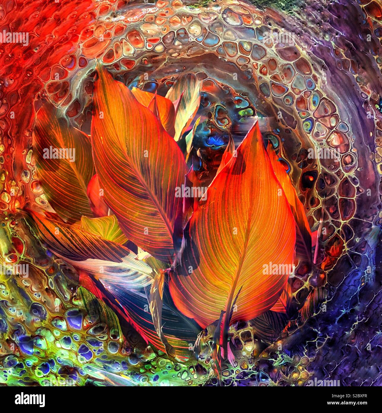 Painting of fall leaves hi-res stock photography and images - Alamy