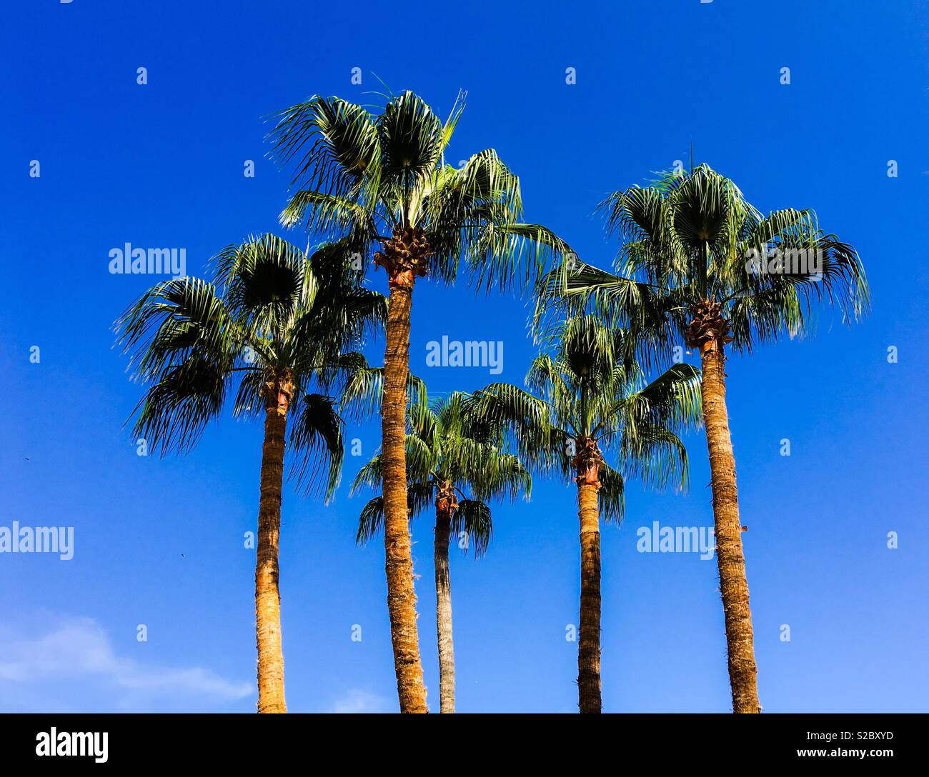 Group five 5 hi-res stock photography and images - Alamy