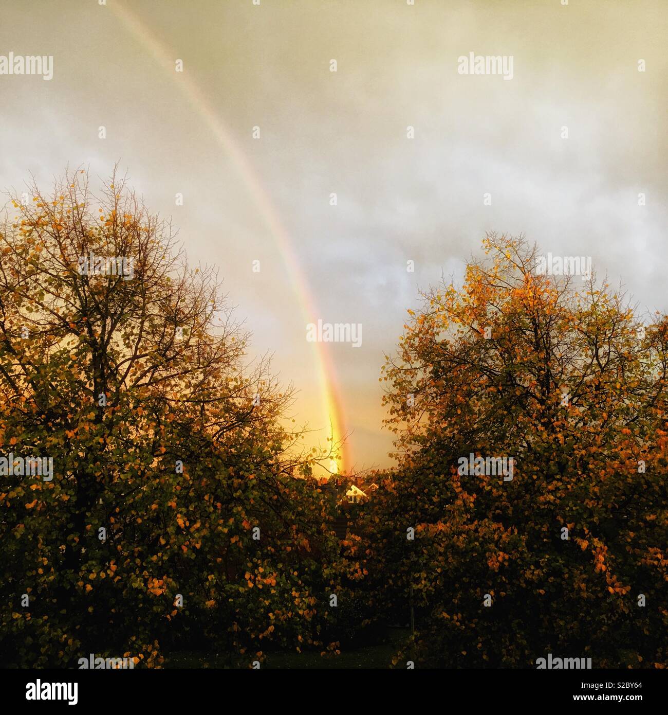 Rainbow with trees hi-res stock photography and images - Alamy