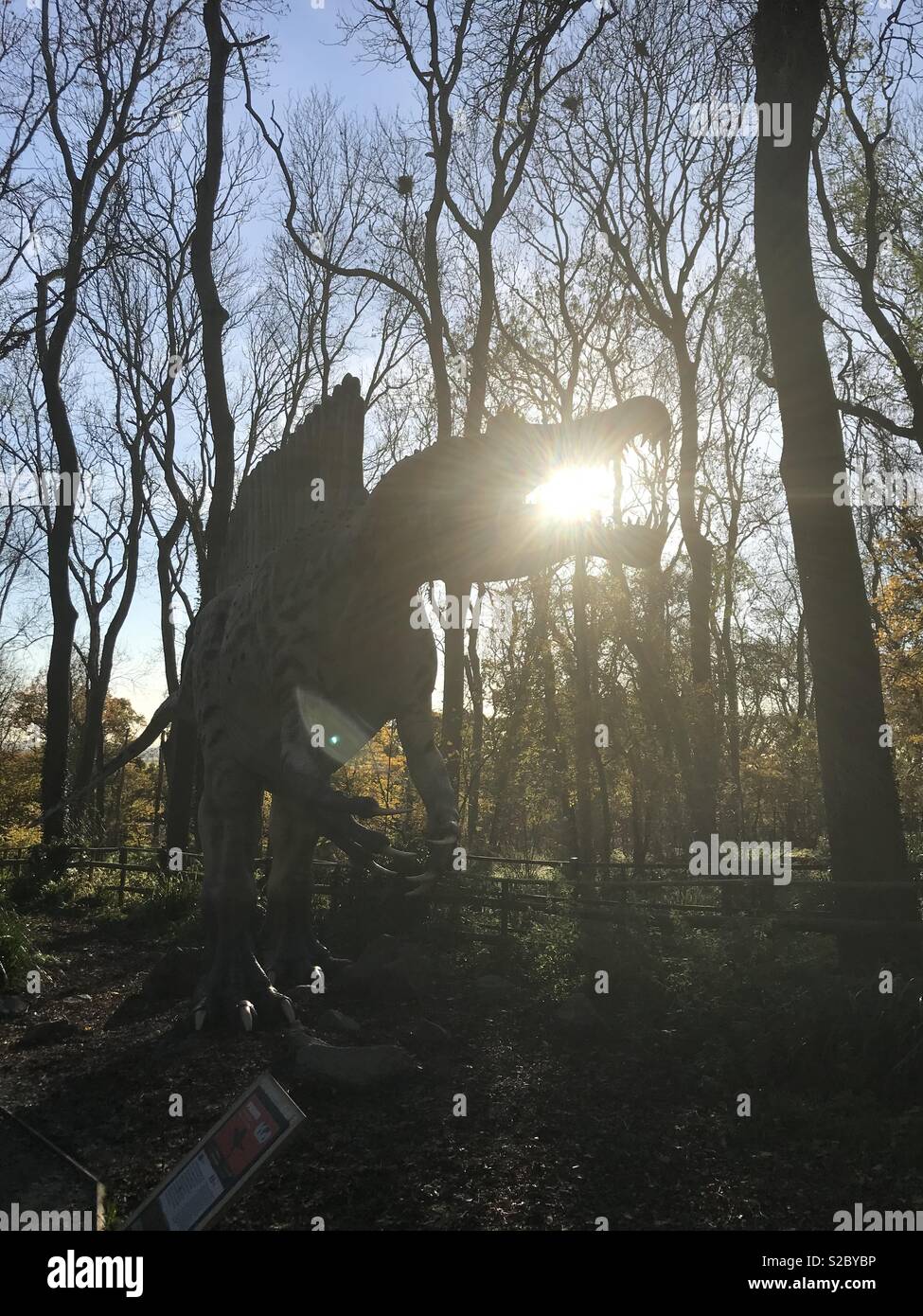 Dinosaur jurassic forest hi-res stock photography and images - Alamy