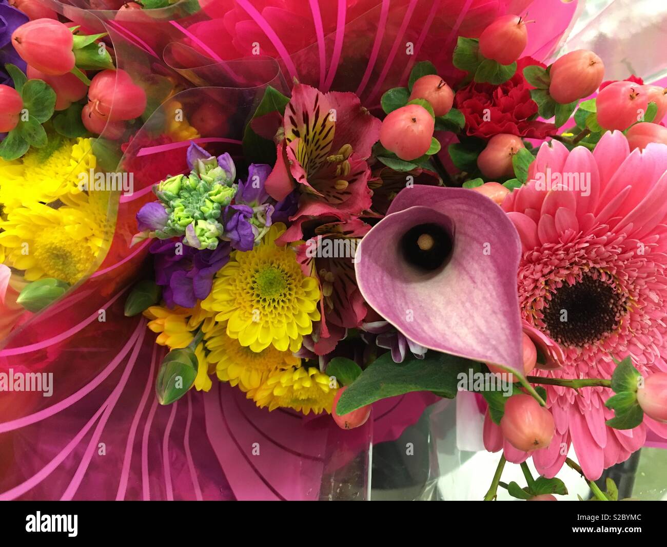 Burst of color hi-res stock photography and images - Alamy
