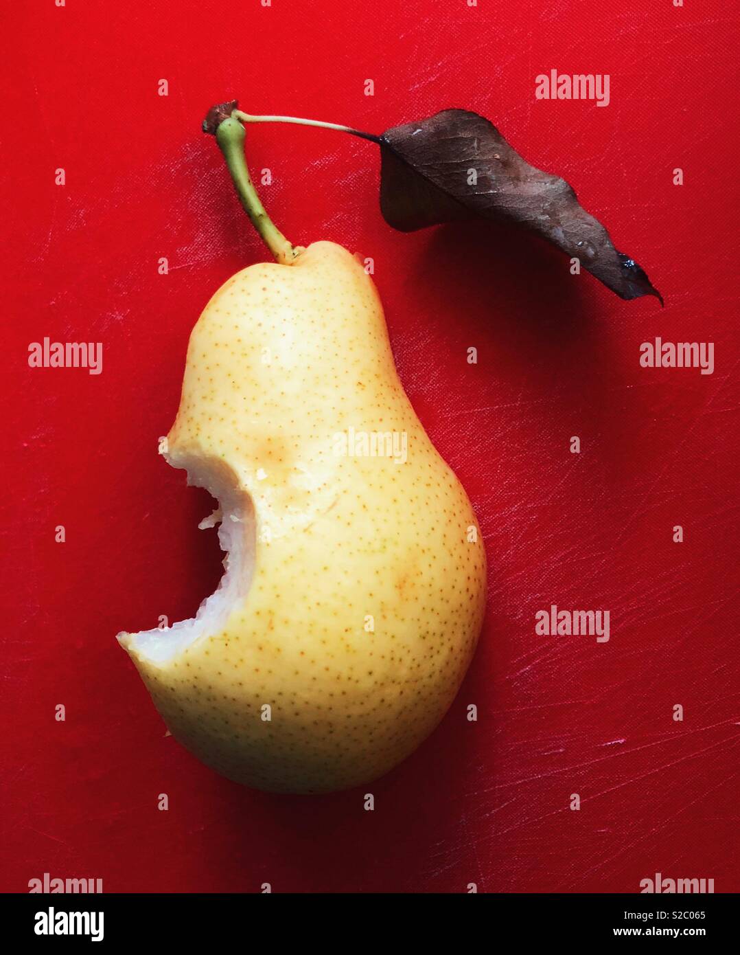 Red leaf stem hi-res stock photography and images - Alamy