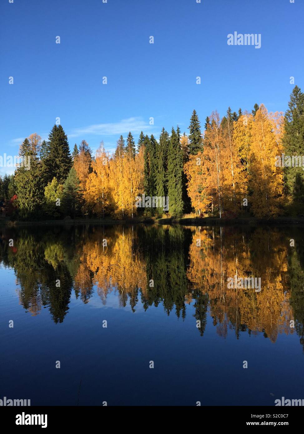 Pond with fall colors hi-res stock photography and images - Alamy