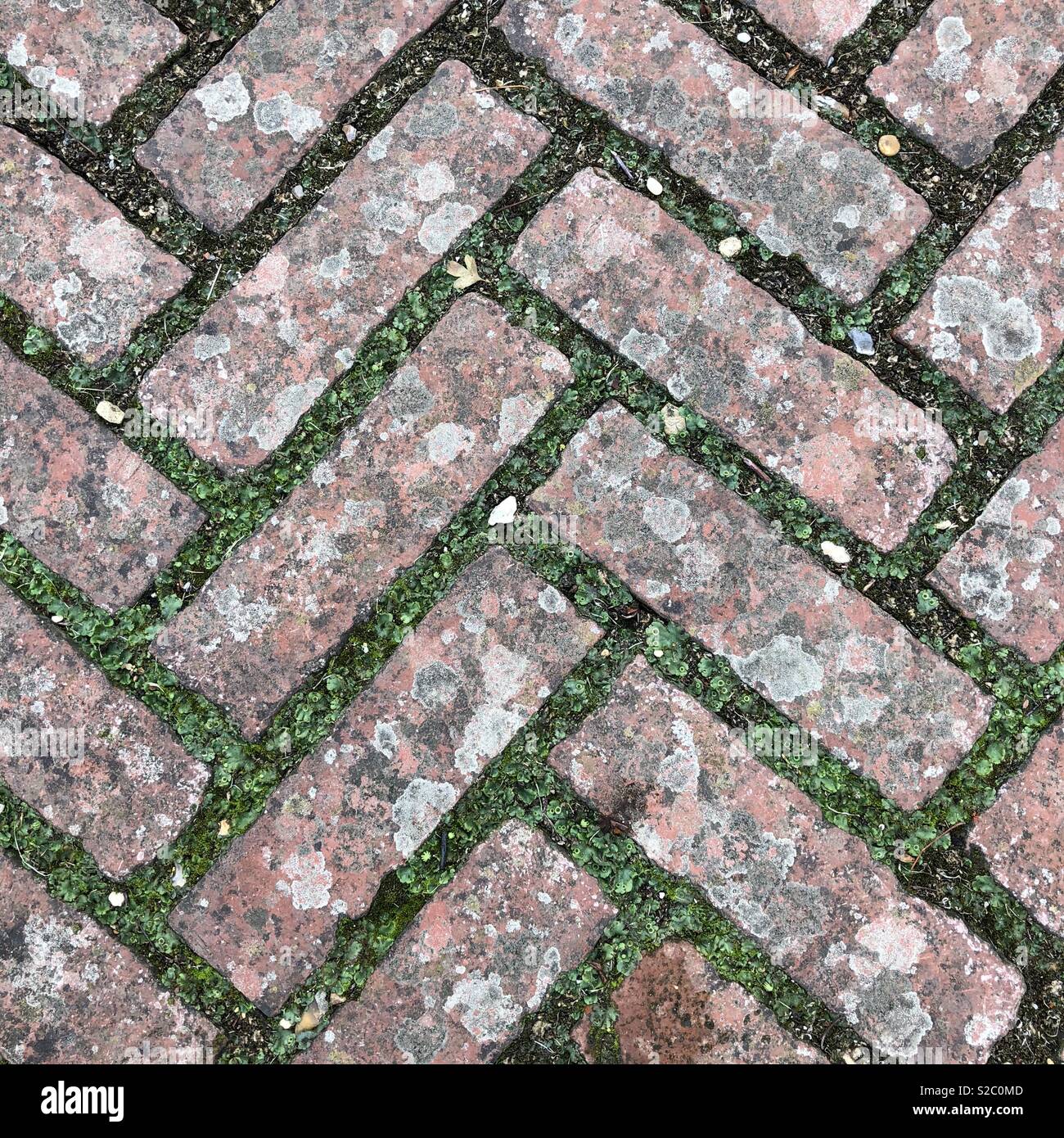 Herringbone brick hi-res stock photography and images - Alamy