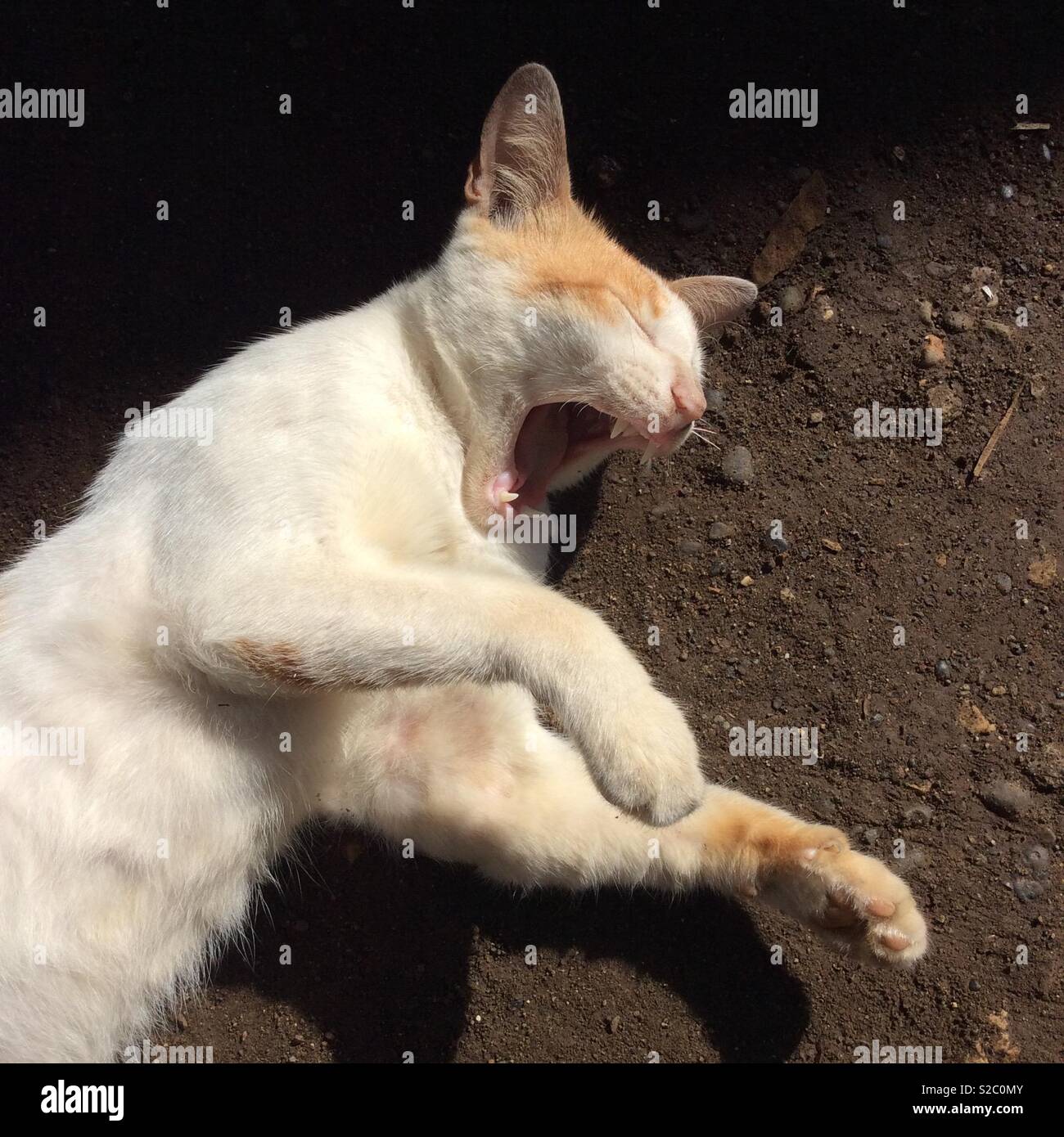 Miming hi-res stock photography and images - Alamy