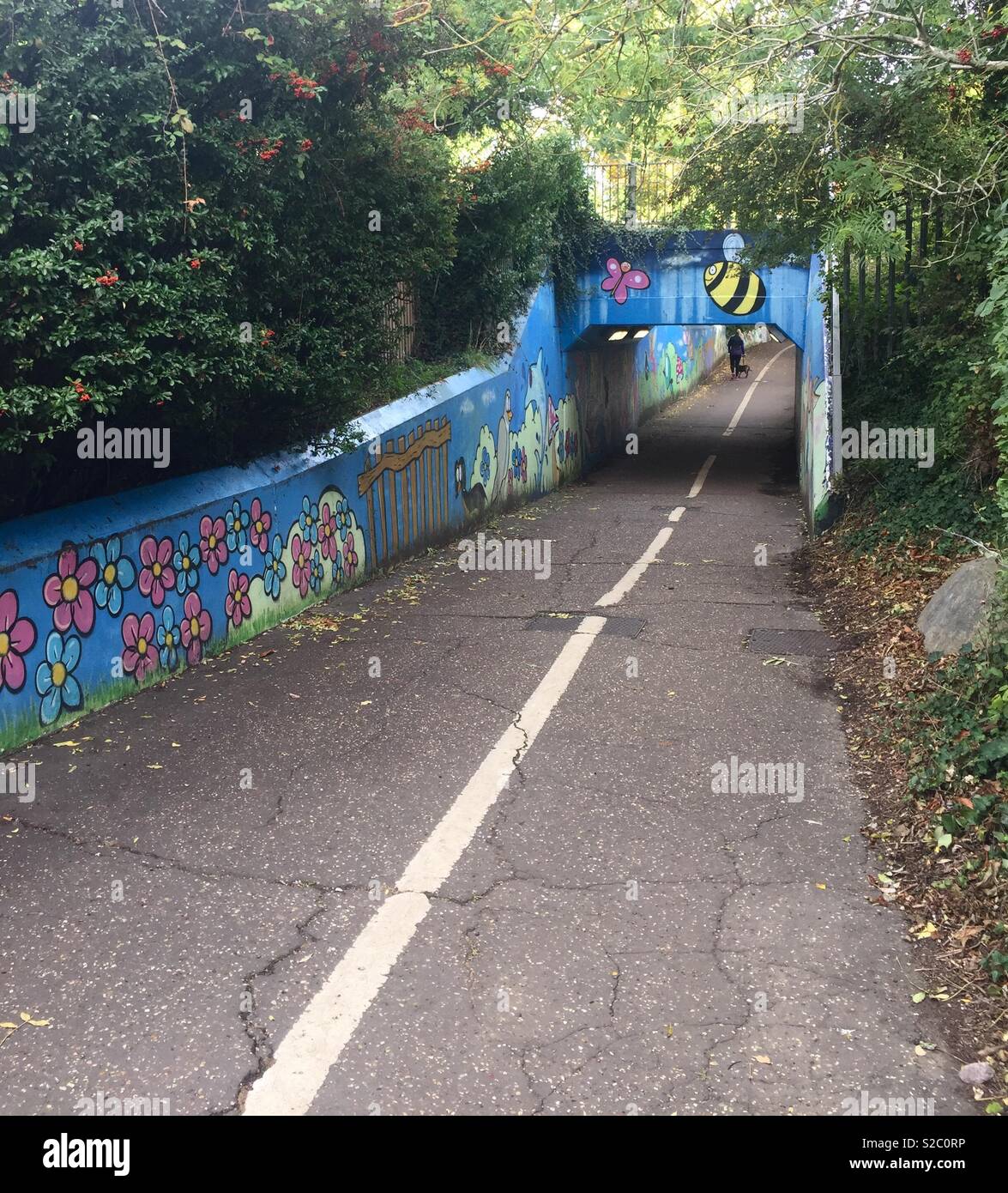 Rainbow walk hi-res stock photography and images - Alamy