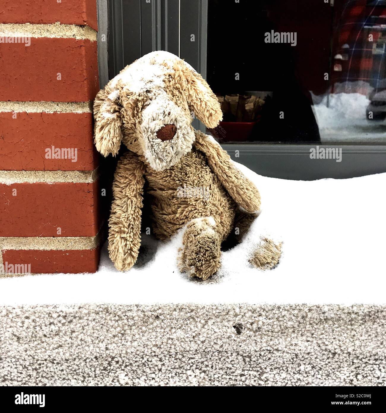Forgotten alone abandoned teddy hi-res stock photography and images - Alamy