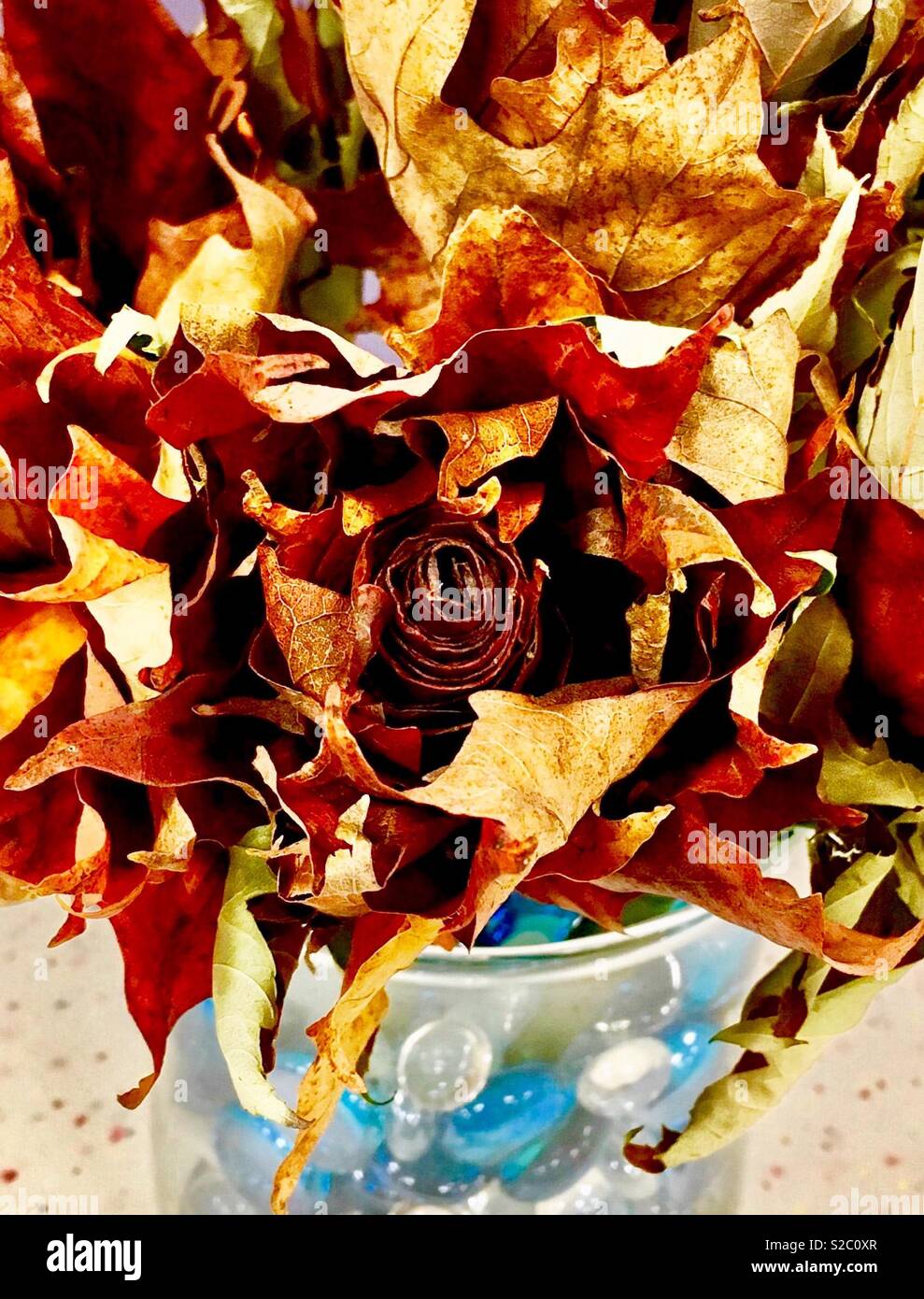 Closeup of fall leaf arrangement in vase with blue and white round ...
