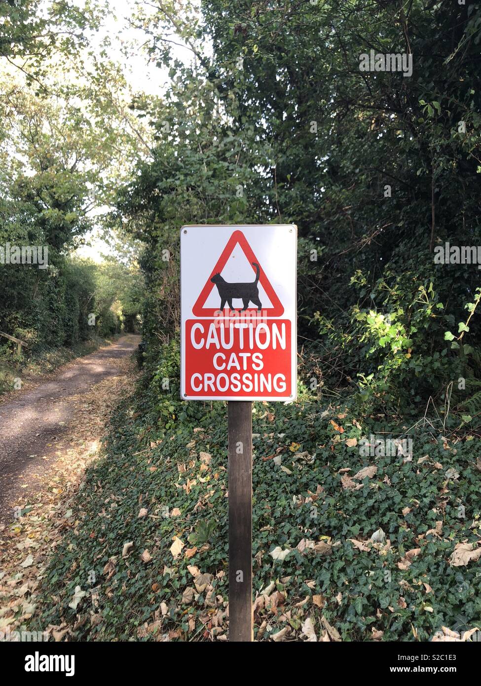 Caution cats crossing hi-res stock photography and images - Alamy