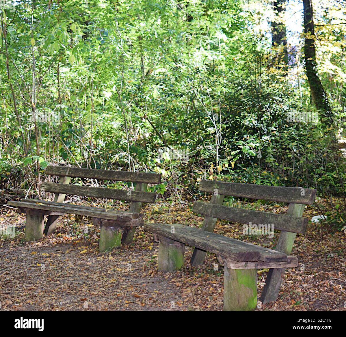 Empty wood benches hi-res stock photography and images - Alamy