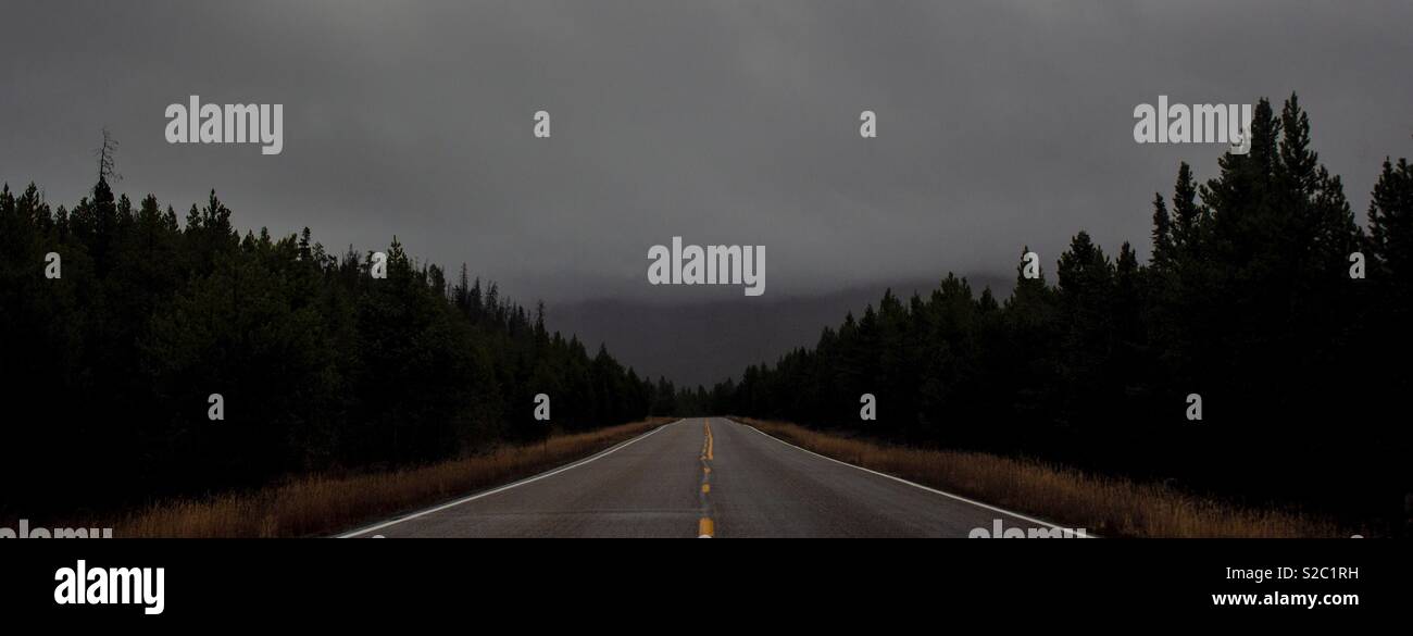 Creepy Fog High Resolution Stock Photography and Images - Alamy