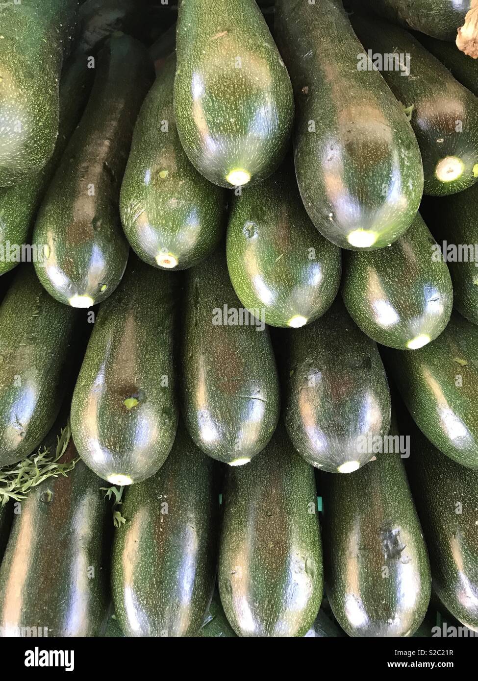 Courgettes on display Stock Photo - Alamy