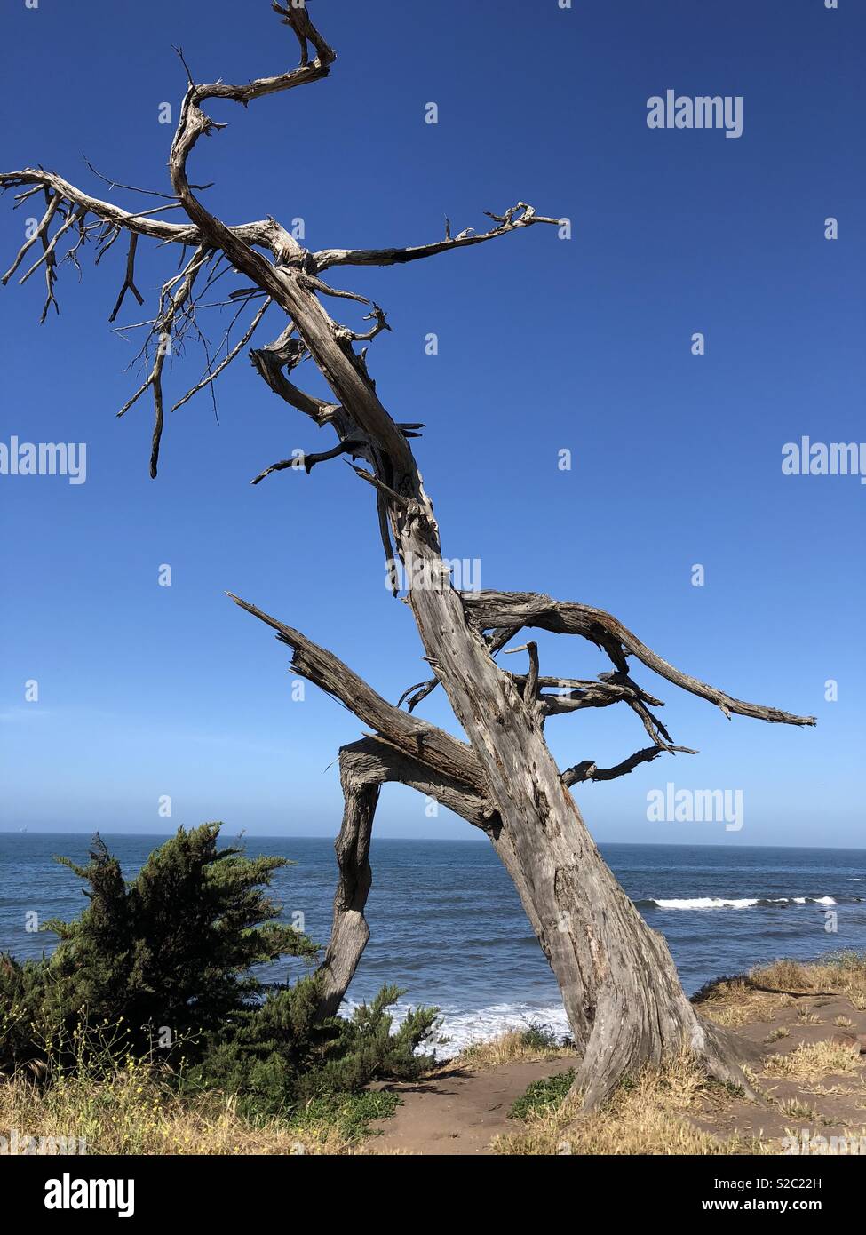 Tree line shore hi-res stock photography and images - Alamy