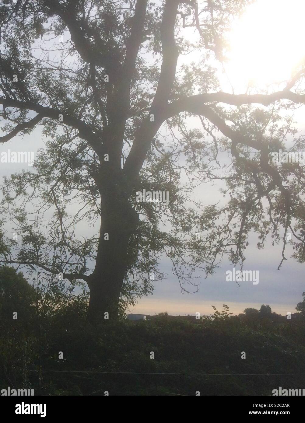 Very low sun hi-res stock photography and images - Alamy