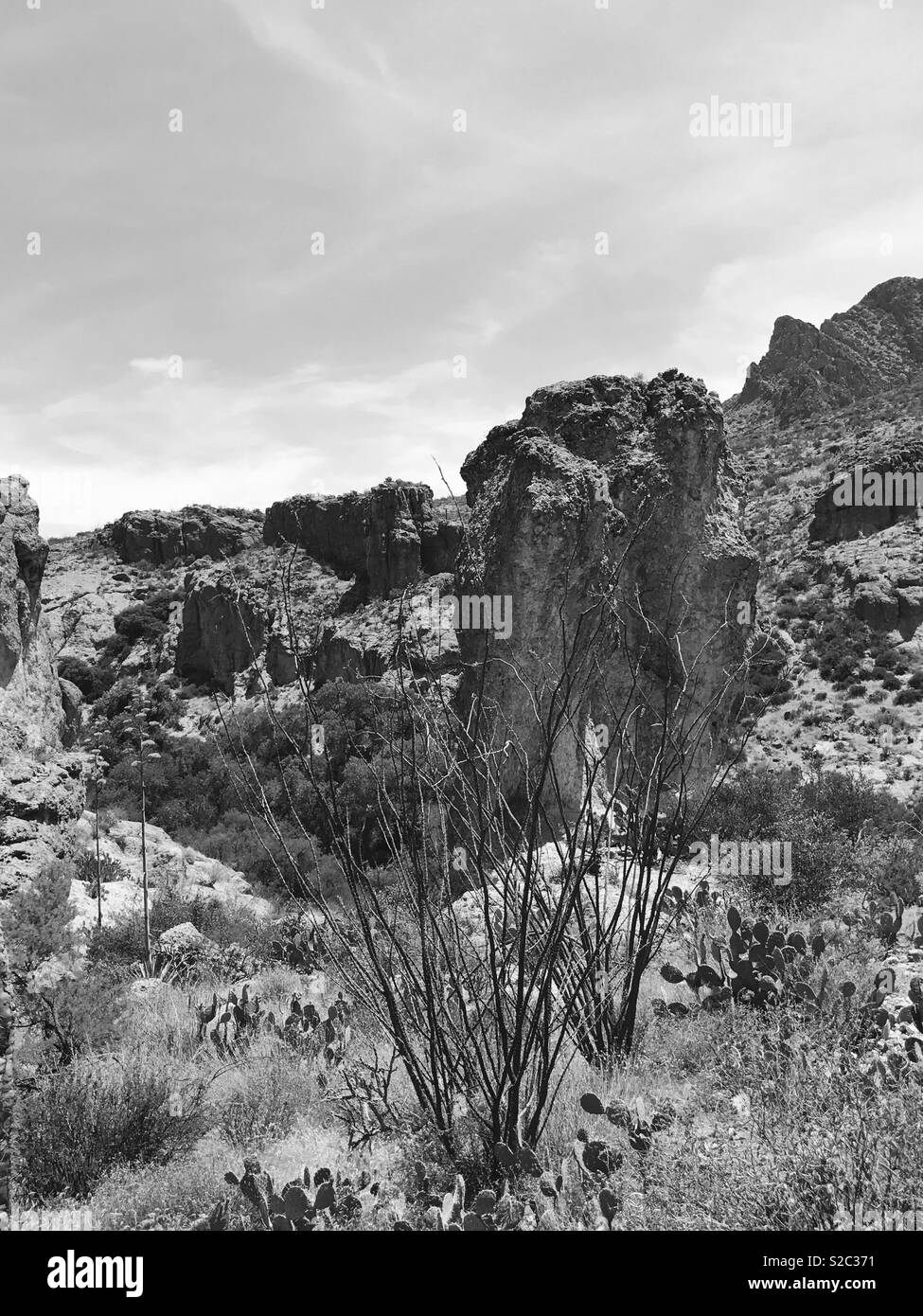 The Beauty of Arizona Stock Photo - Alamy