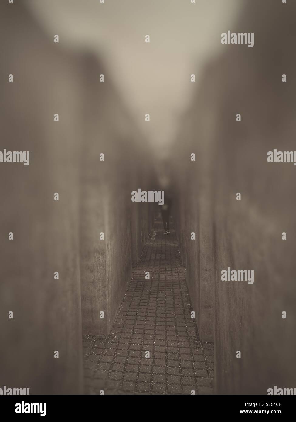 Path of life hi-res stock photography and images - Alamy