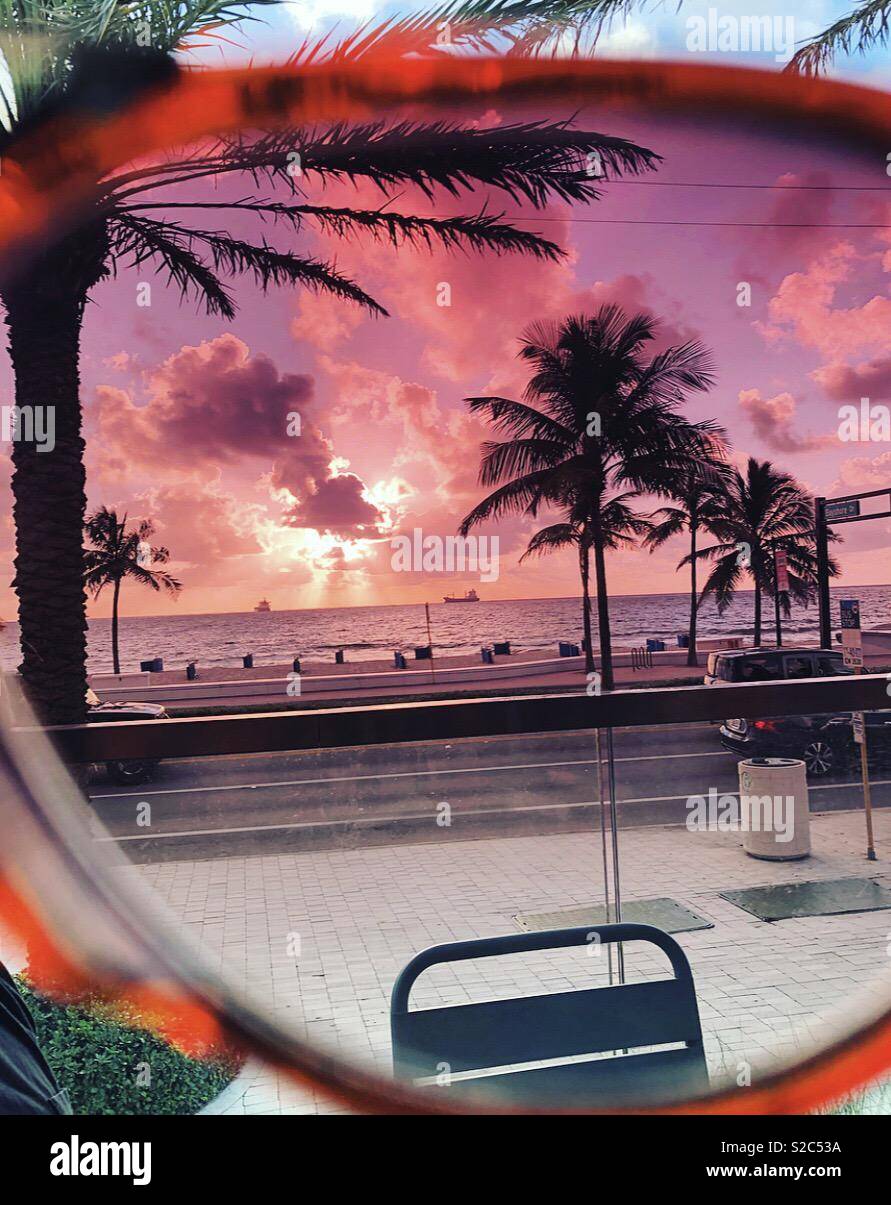 Miami Rose High Resolution Stock Photography and Images - Alamy