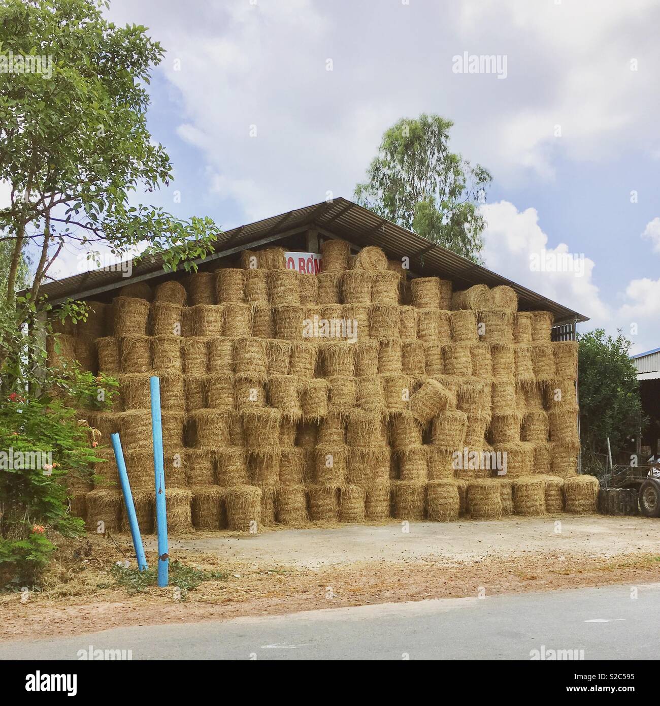 Straw storage in the South-west Vietnam Stock Photo - Alamy