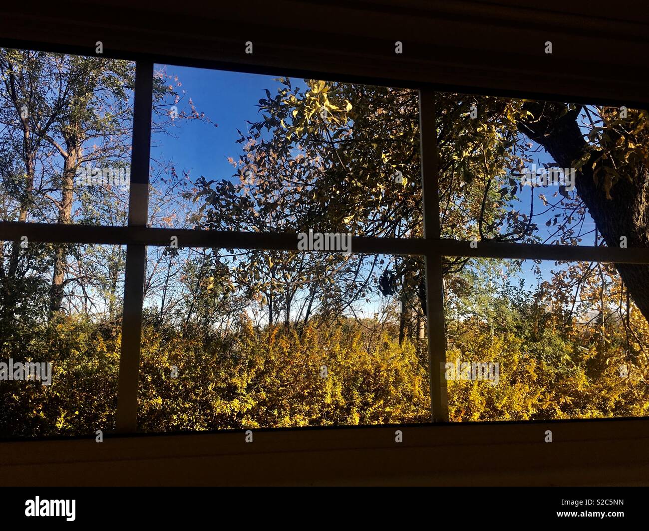 Fall outside my window hi-res stock photography and images - Alamy
