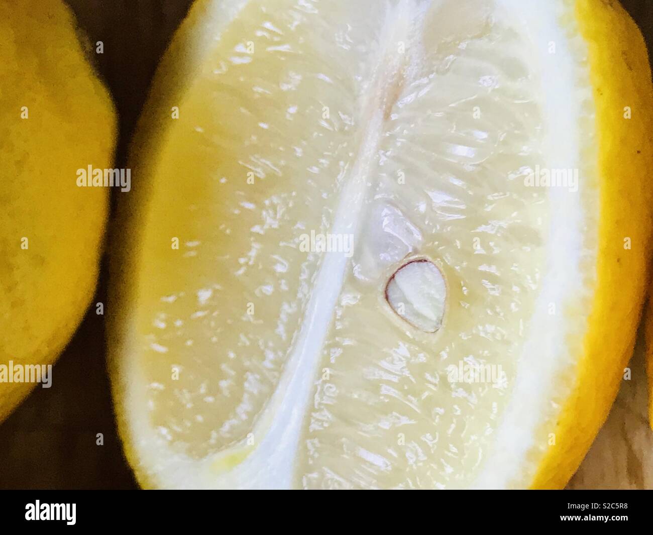 Lemon cut in half showing flesh and pip Stock Photo - Alamy