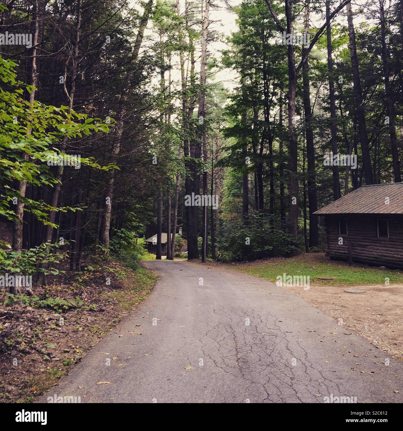 Mohawk Trail State Forest, Charlemont, Massachusetts, United States ...