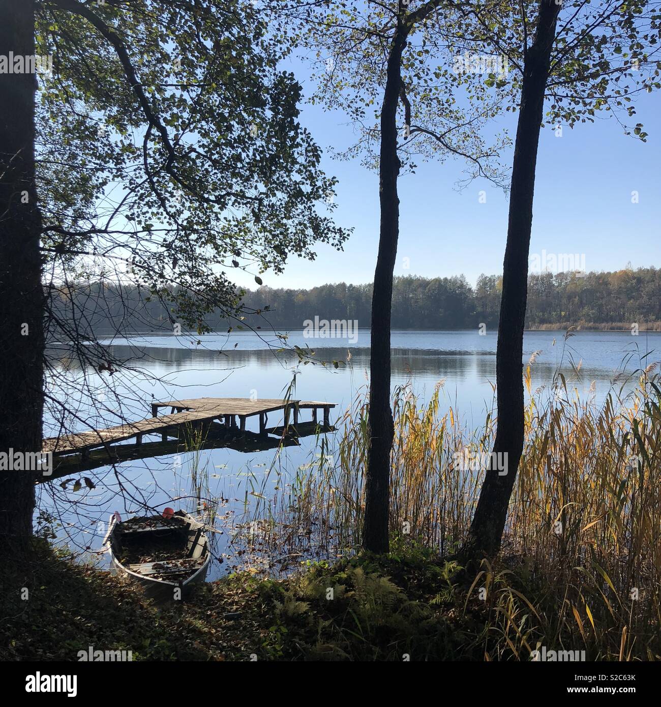 Morning over lake Stock Photo - Alamy
