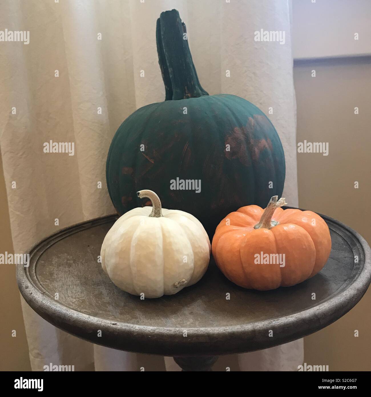 One pumpkins hi-res stock photography and images - Alamy