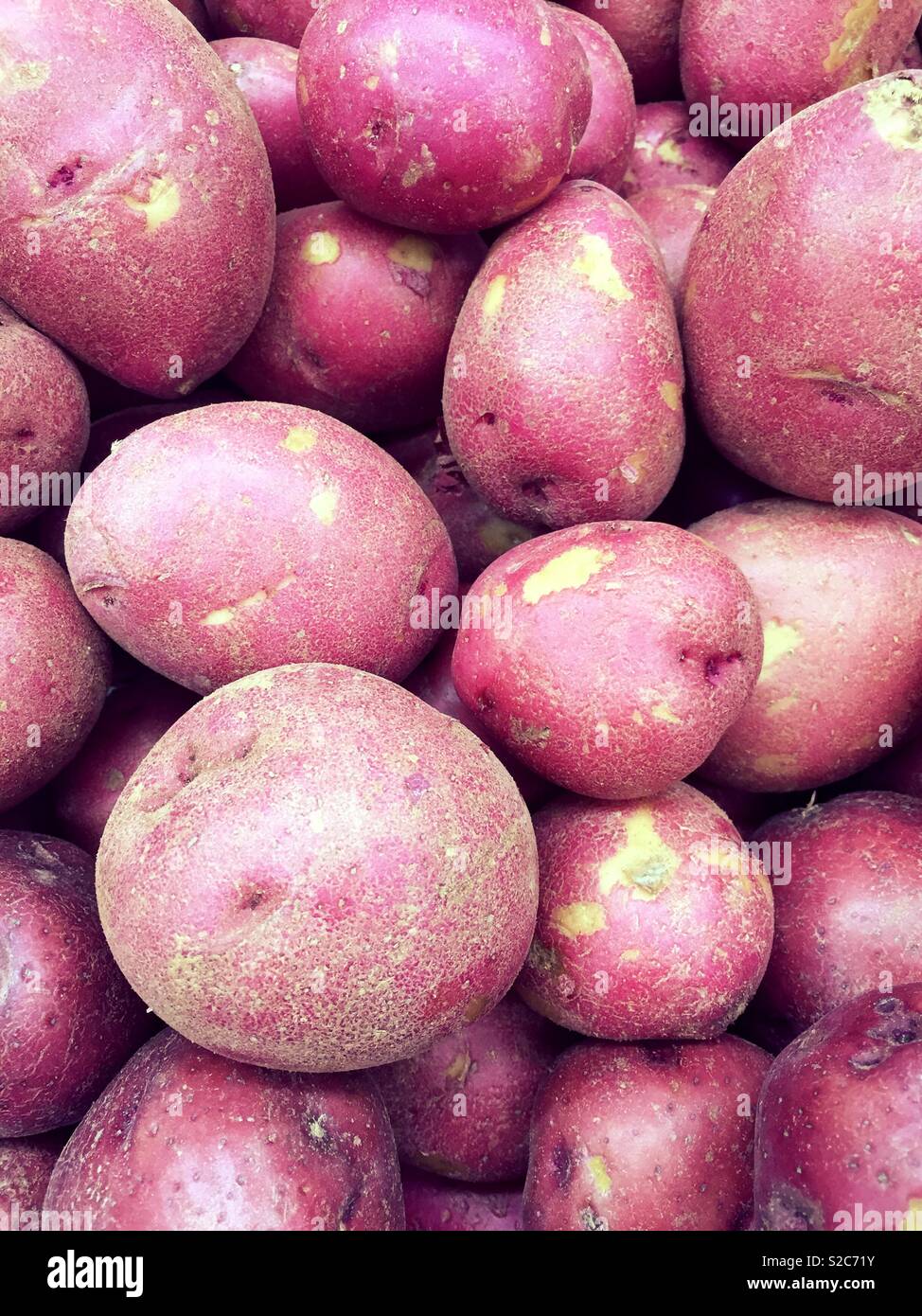Boiled Red Potatoes