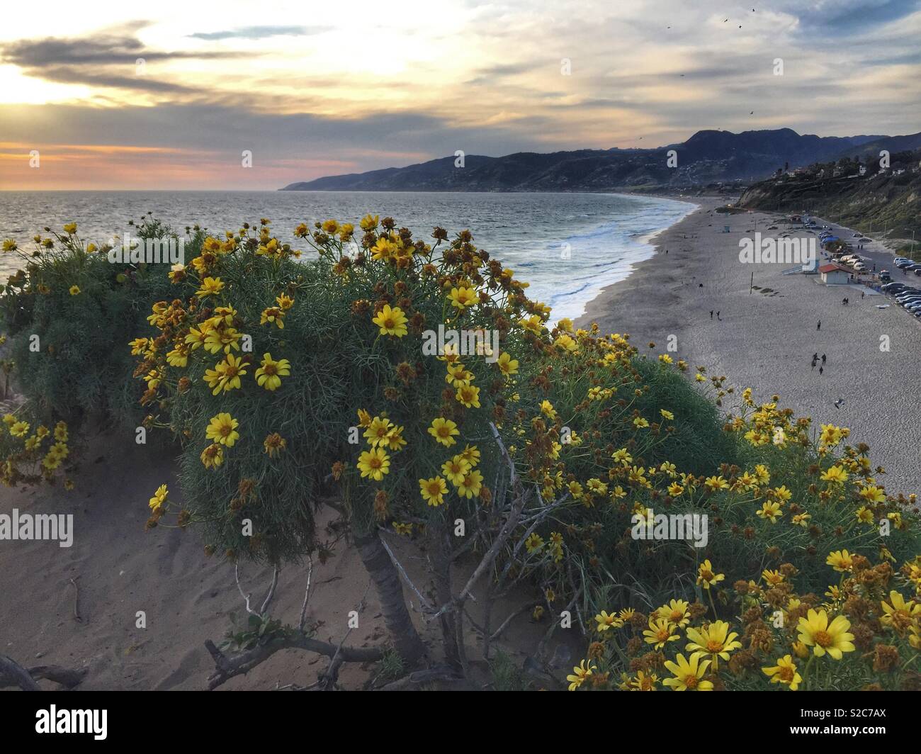 Adventures at Point Dume Stock Photo - Alamy