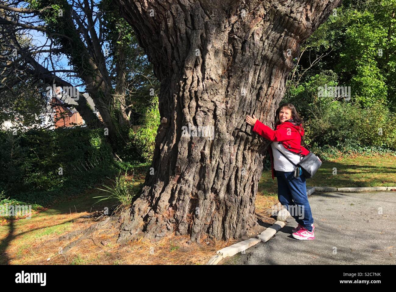 Tree hugging hi-res stock photography and images - Alamy