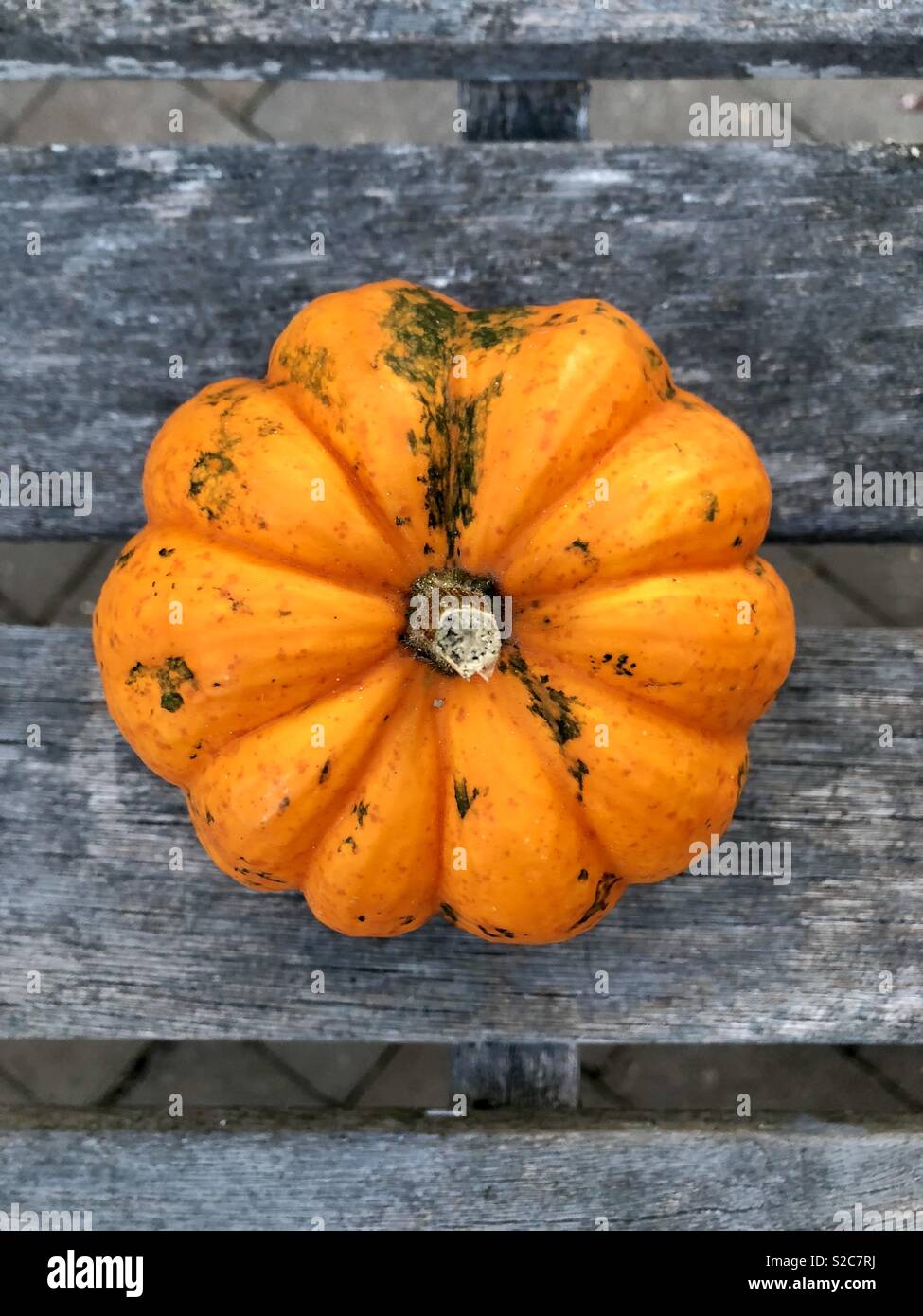 Orange vegan gourd hi-res stock photography and images - Alamy