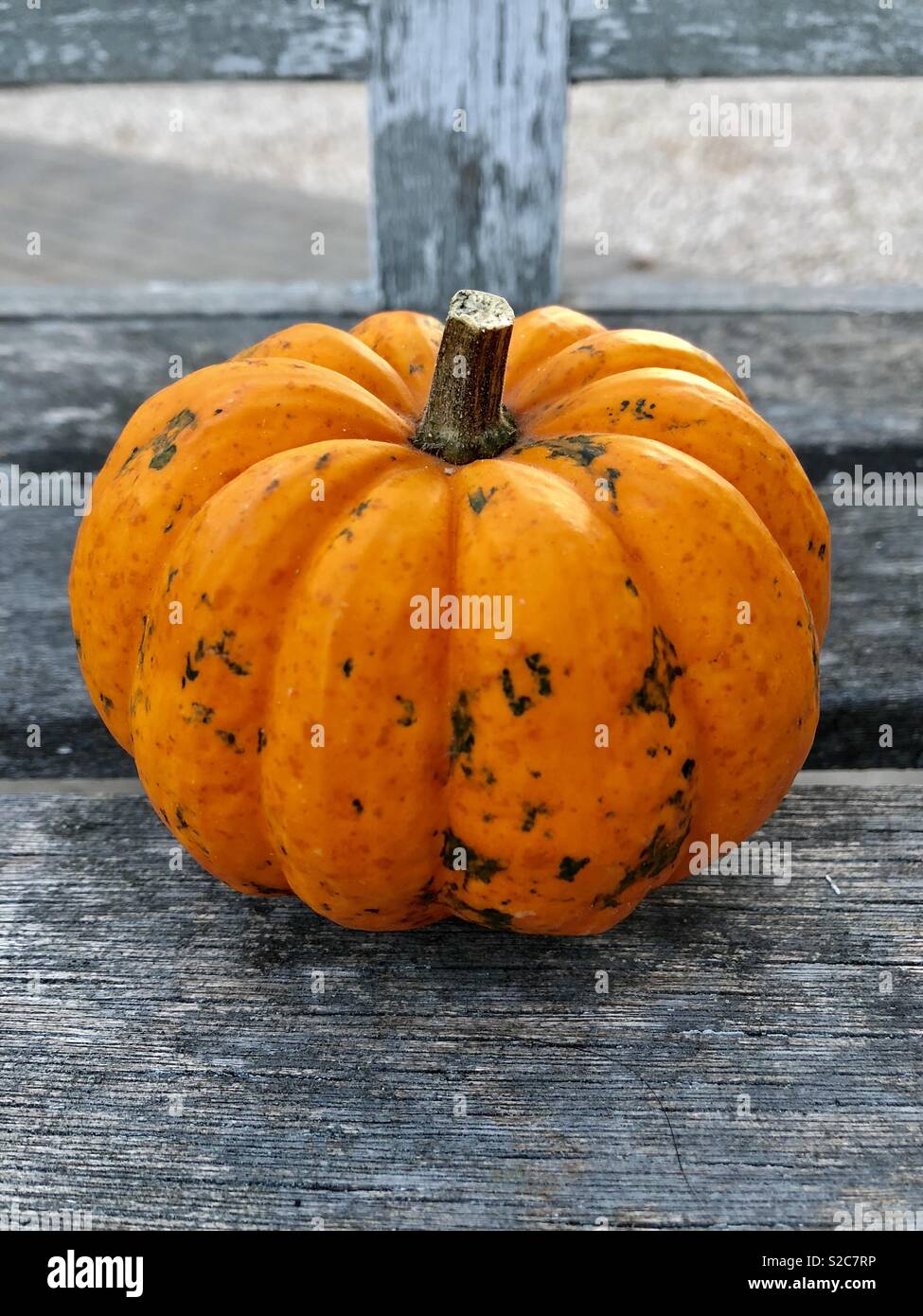 Gourd fruit hi-res stock photography and images - Alamy