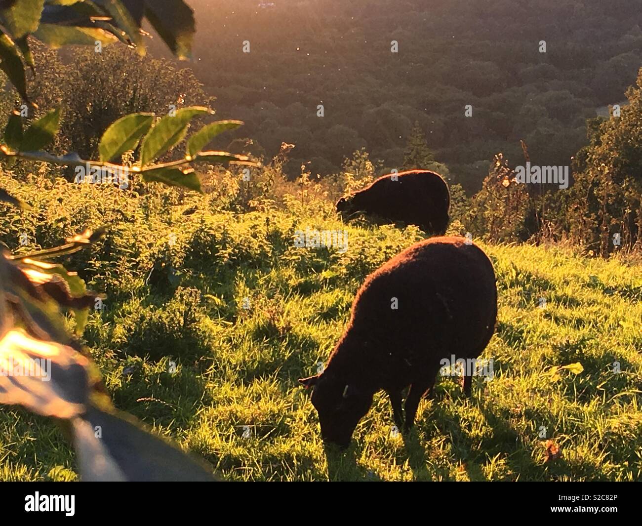 Wye valley farming hi-res stock photography and images - Alamy