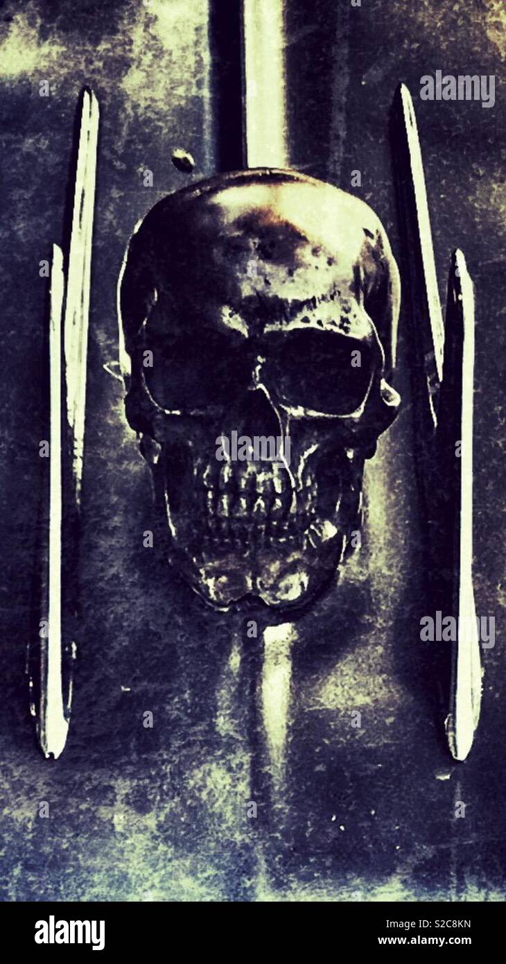 Metal skull hi-res stock photography and images - Alamy